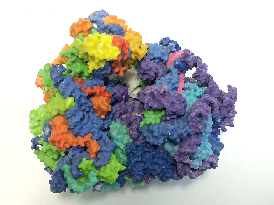 Using Tropical Maths to Model Ribosome Dynamics - IMA