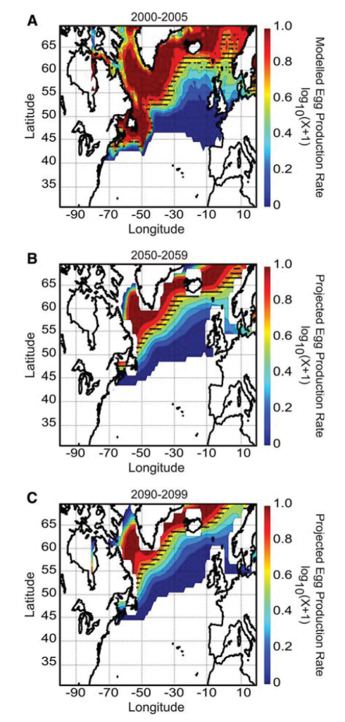 The Weak Link in the Fish Food Chain - IMA