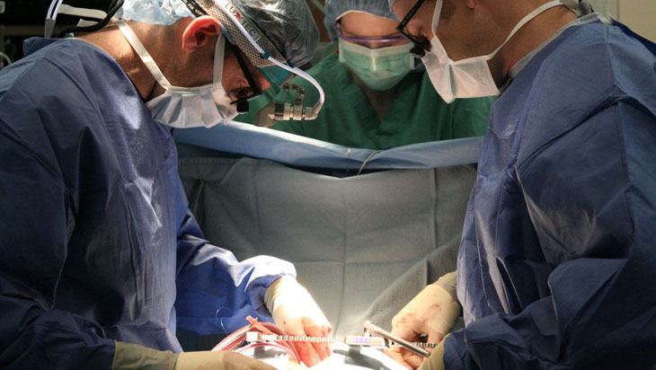 Mathematics at the Heart of Cardiovascular disease - IMA