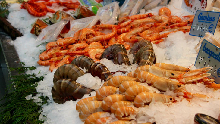 So beautiful…I must have them all, or am I being shellfish? How marine ...