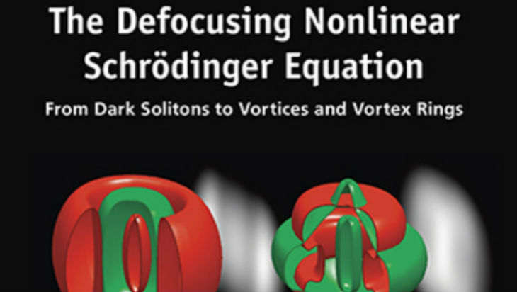 The Defocusing Nonlinear Schrödinger Equation Ima