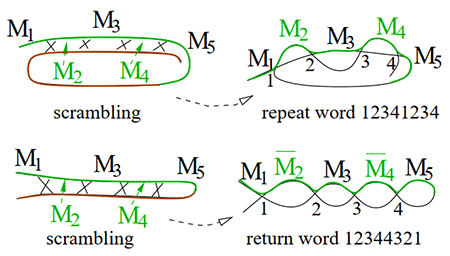 Discovering Patterns in a Scrambled Genome - IMA