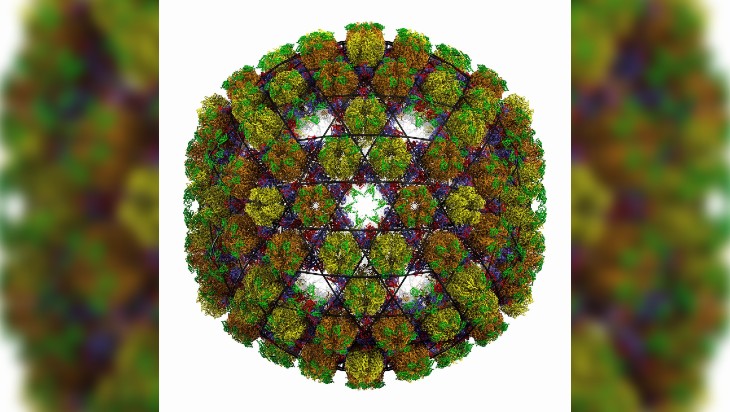 Mathematical Virology: Geometry as a key to discover novel anti-viral ...