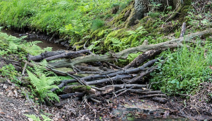 Natural Flood Management: How Mathematics Can Help Manage the Risks - IMA