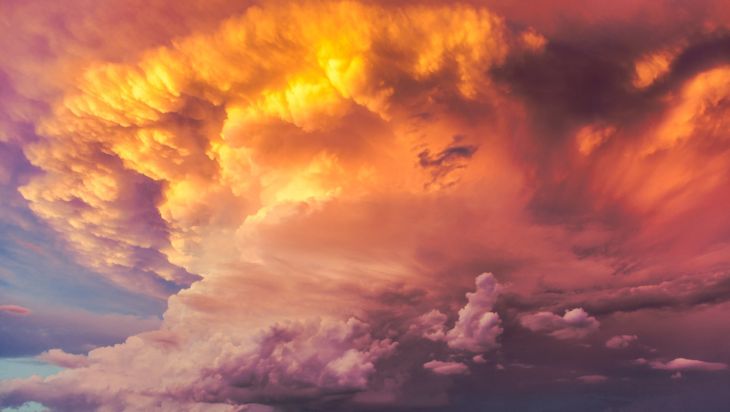 Category : Jobs - IMA