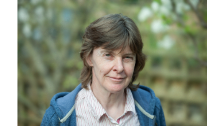 Professor Alison Etheridge FRS OBE is awarded 2023 IMA-LMS David ...