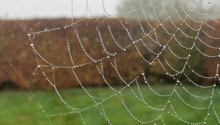 IMA Presidential Address – A Mathematical Eye - IMA