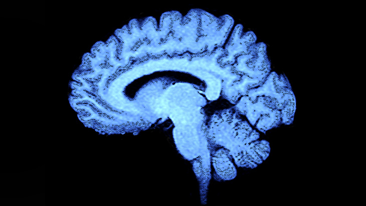 Interview with Professor Hannah Fry HonFREng FIMA - IMA