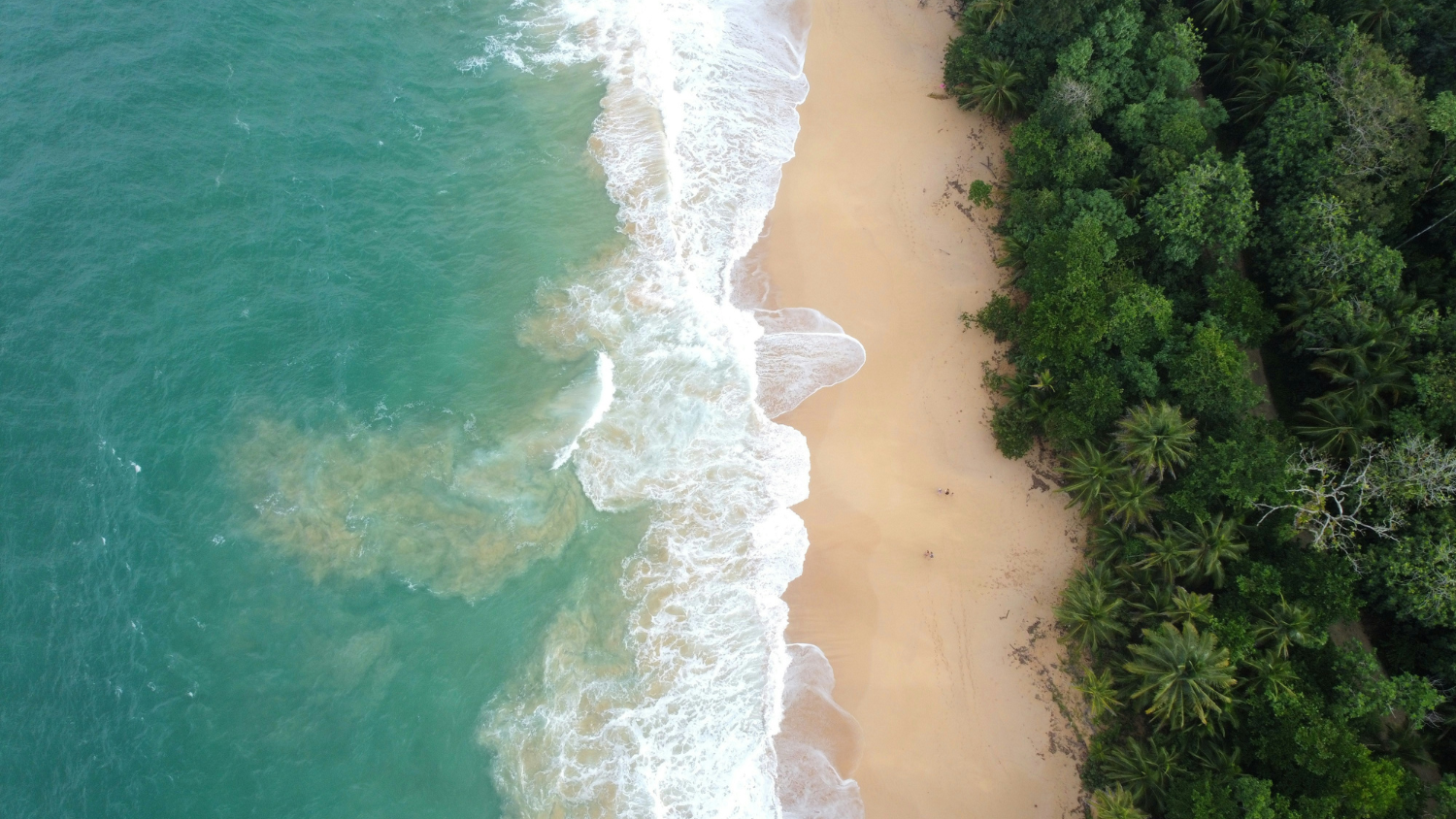 IMA Launches its First Special Interest Group on Climate, Environment ...